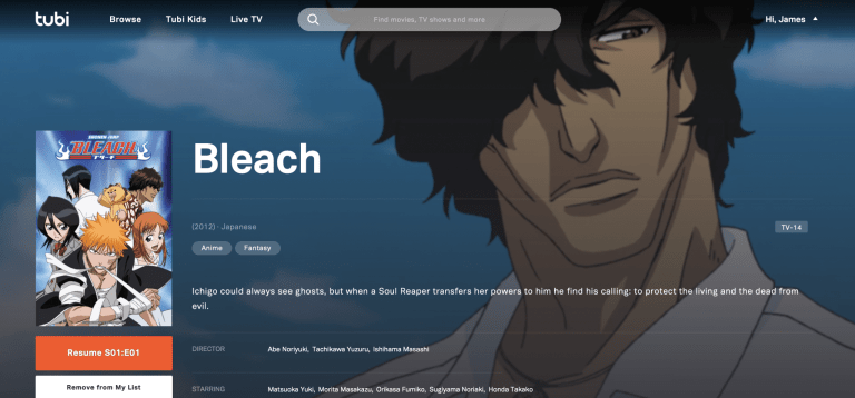 5 Best Places to Watch Bleach Online (Free and Paid Streaming Services)